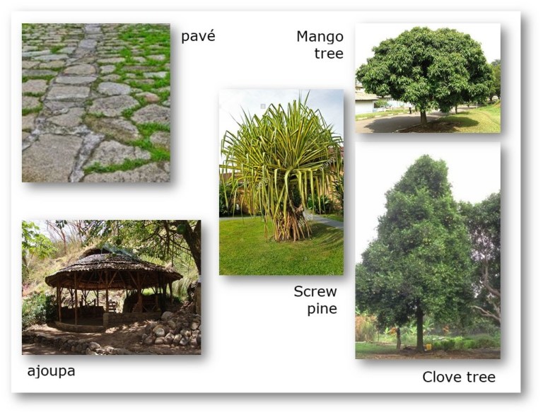 Reading as writers; writing as readers: an account of a Year 5/6 ...